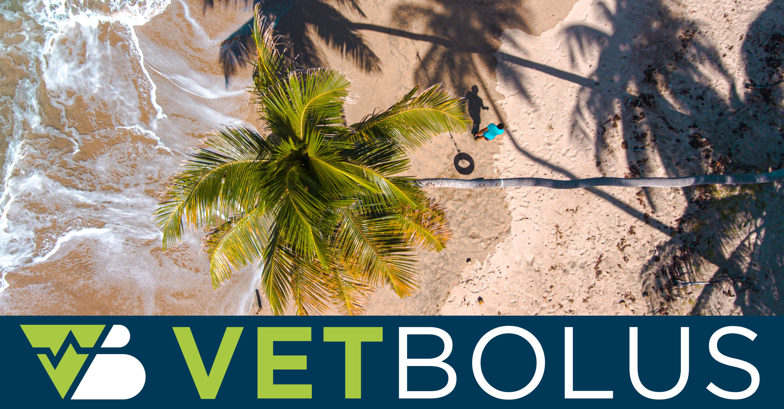 Veterinary Anesthesia Nerds Symposium 2027 – VetBolus